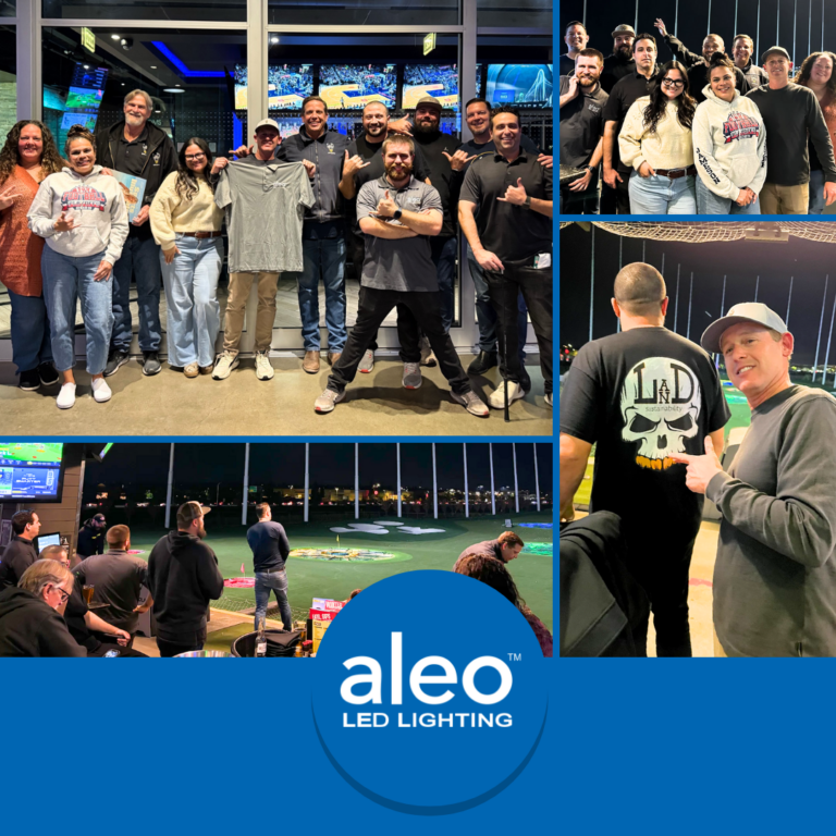 Advanced Commercial & Industrial LED Lighting | Aleo Lighting